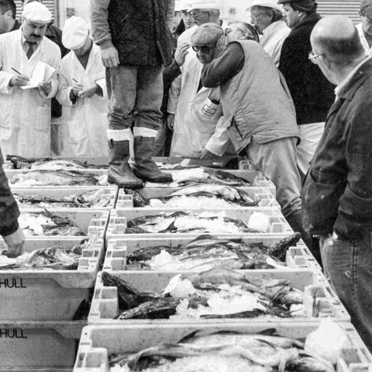 Hull Fish Market by Paul Hurst | Maritime Hull (en-GB)