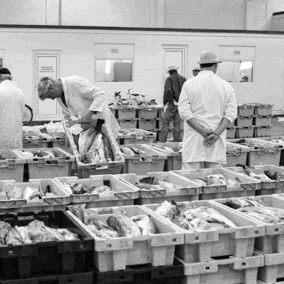 Hull Fish Market by Paul Hurst | Maritime Hull (en-GB)