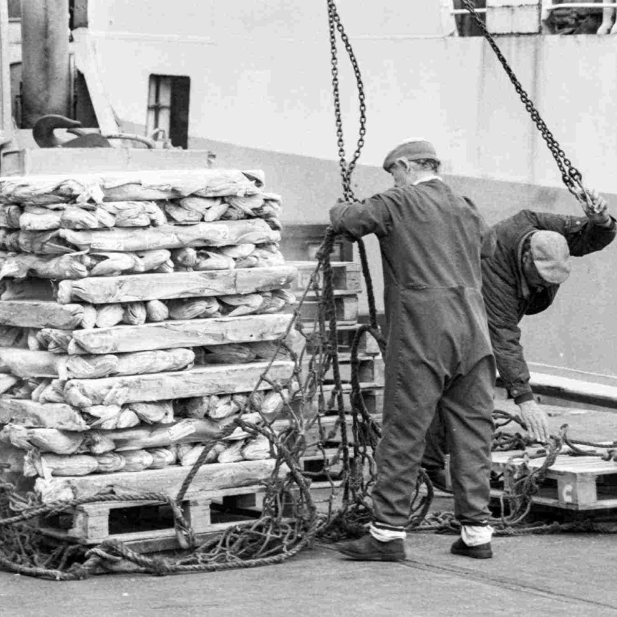 Hull Fish Market by Paul Hurst | Maritime Hull (en-GB)