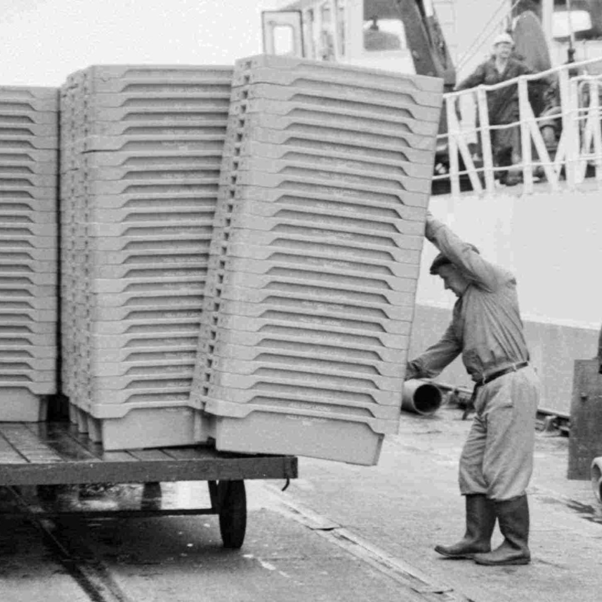 Hull Fish Market by Paul Hurst | Maritime Hull (en-GB)