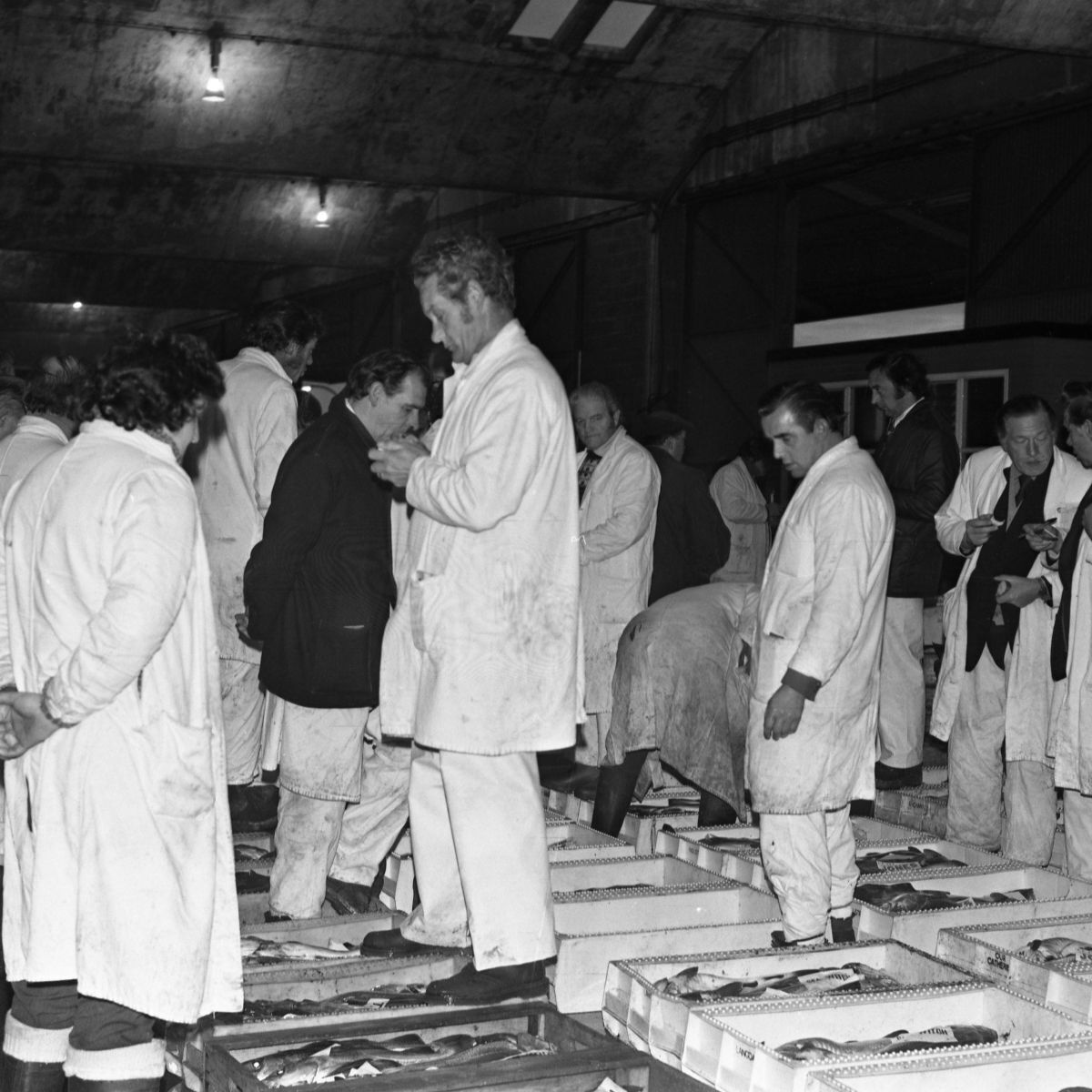 Hull Fish Market by Paul Hurst | Maritime Hull (en-GB)