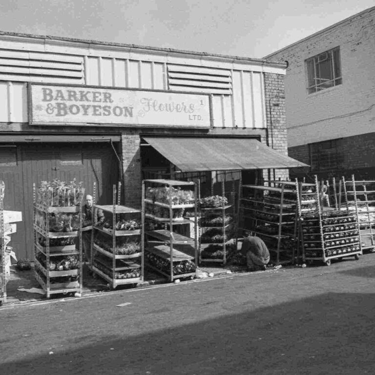 Hull's Fruit Market, Humber Street in the nineties by Paul Hurst ...